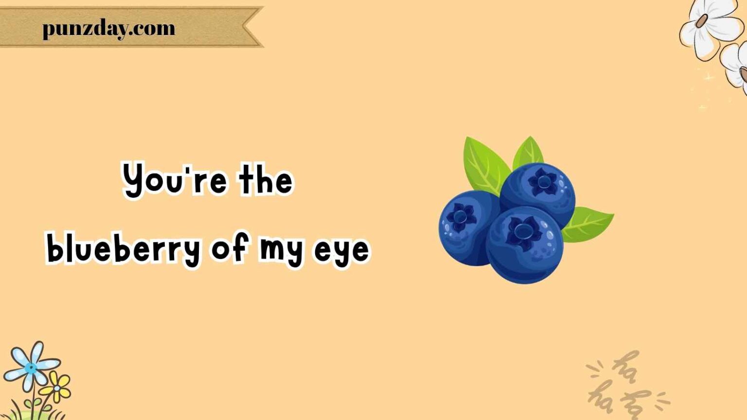 215+ Sweet & Funny Blueberry Puns You Can’t Resist Sharing - punzday.com